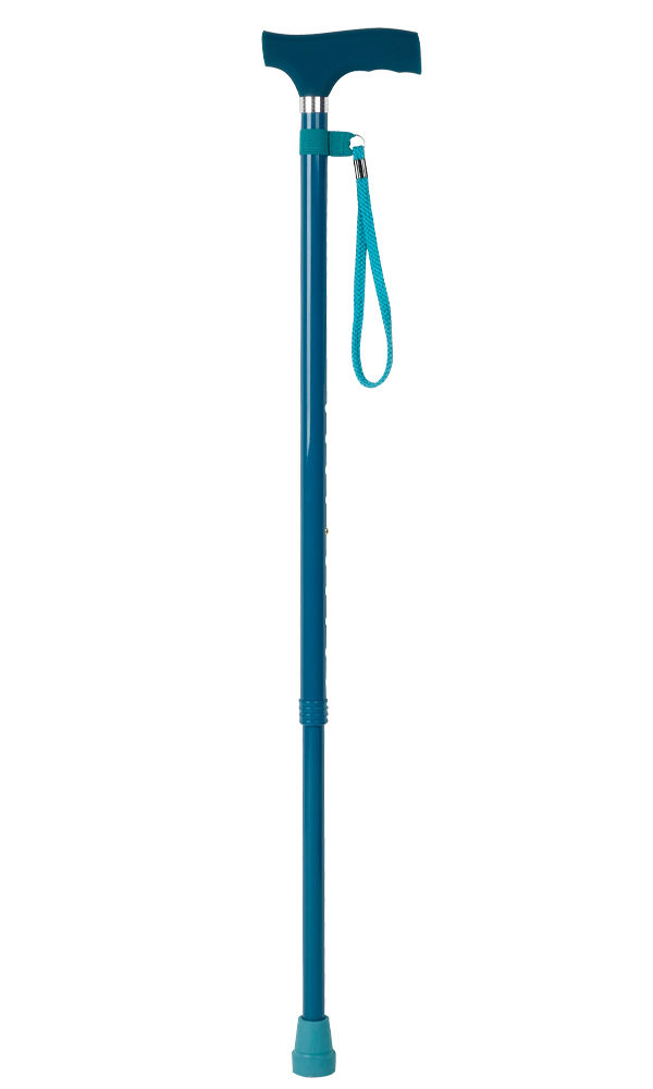 Teal Silicone Handle Adjustable Stick | Charles Buyers